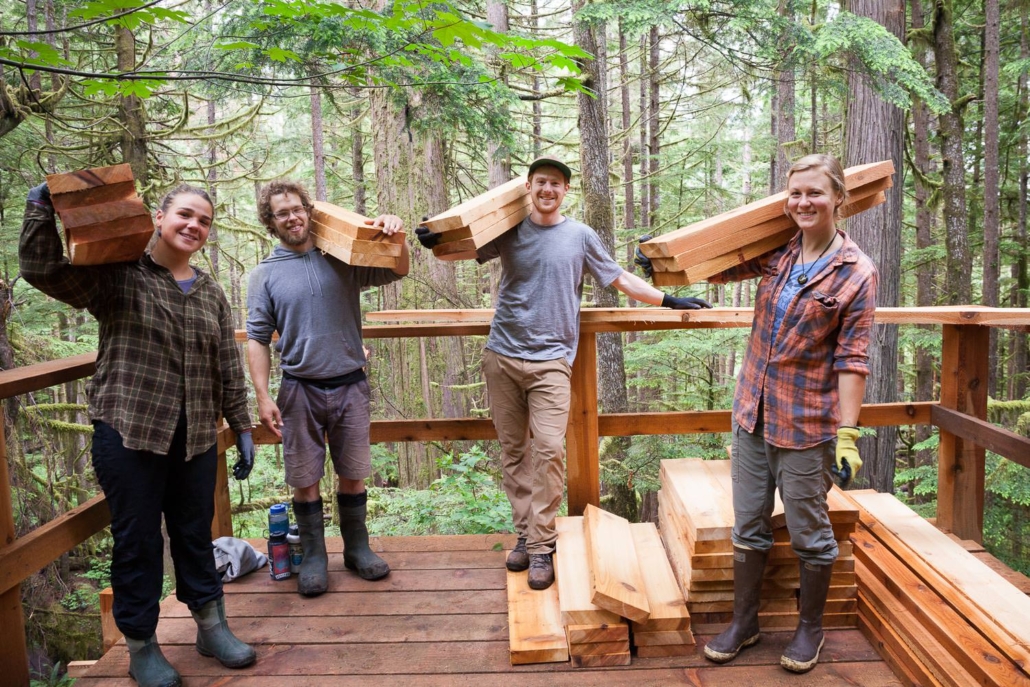 Work With Us - Ancient Forest Alliance