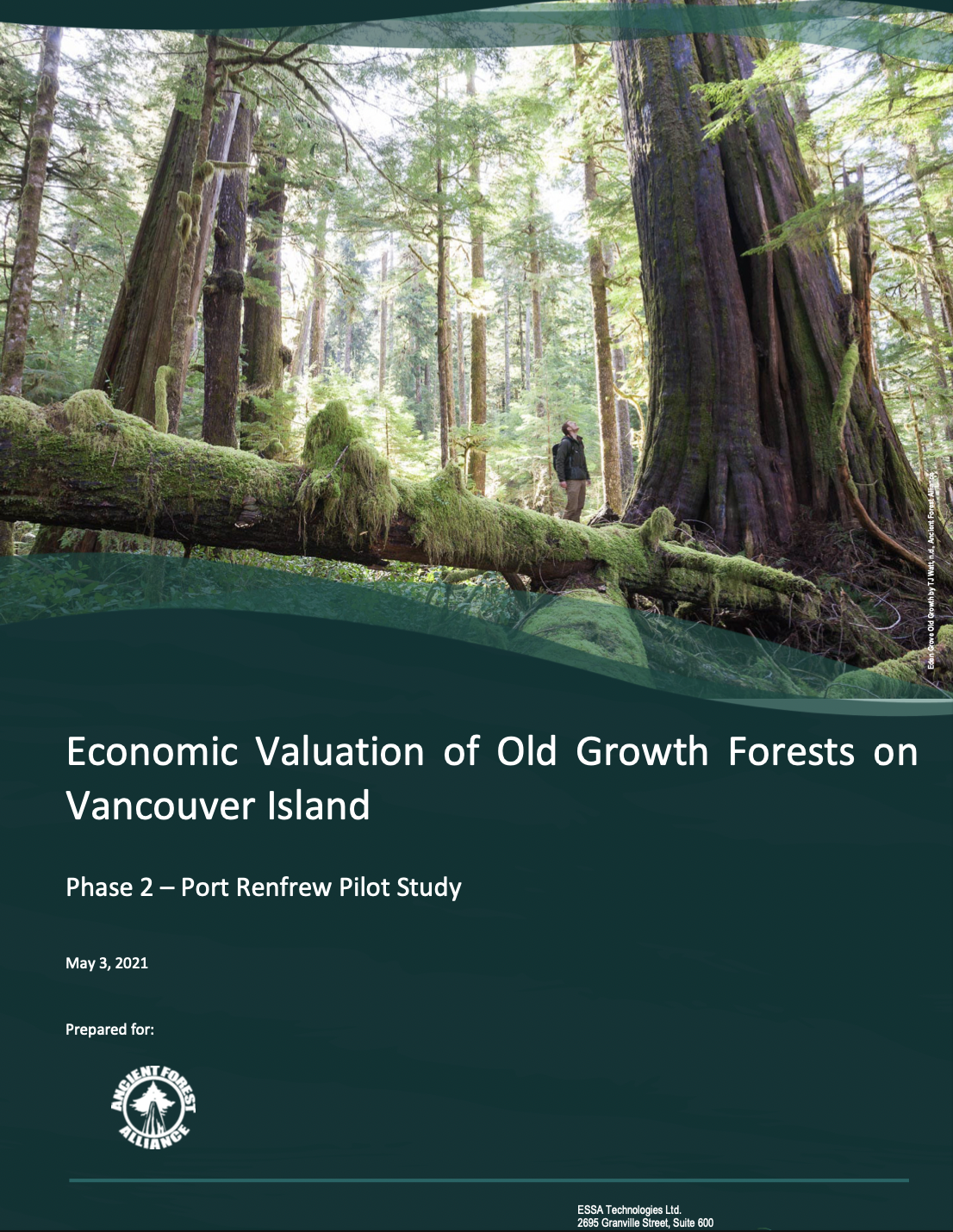 Economic Valuation of Old-Growth Forests on Vancouver Island - Ancient ...