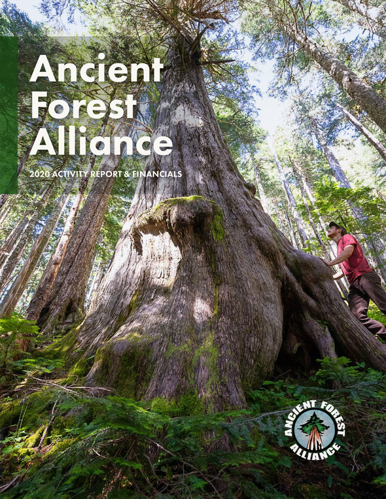 Activity Reports - Ancient Forest Alliance