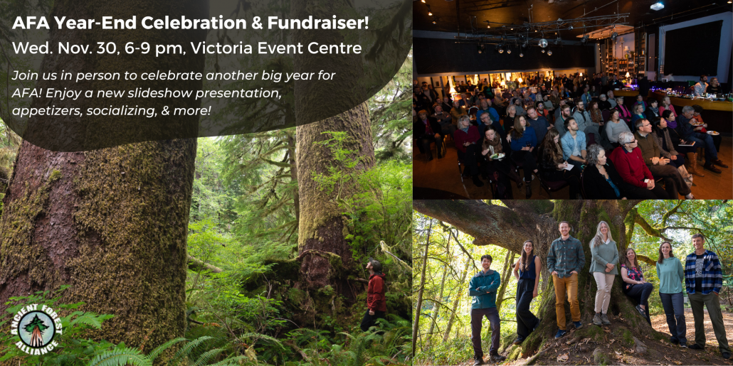 Join us for our Year-End Celebration & Fundraiser on Weds. Nov. 30th