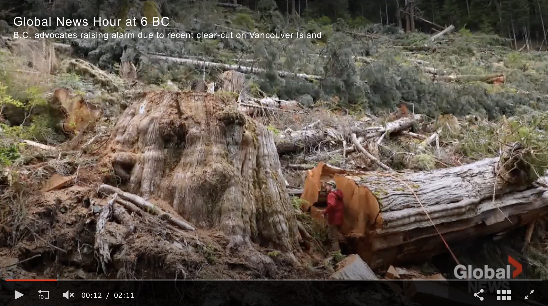 Global News: BC advocates raising alarm due to recent clear-cut on ...