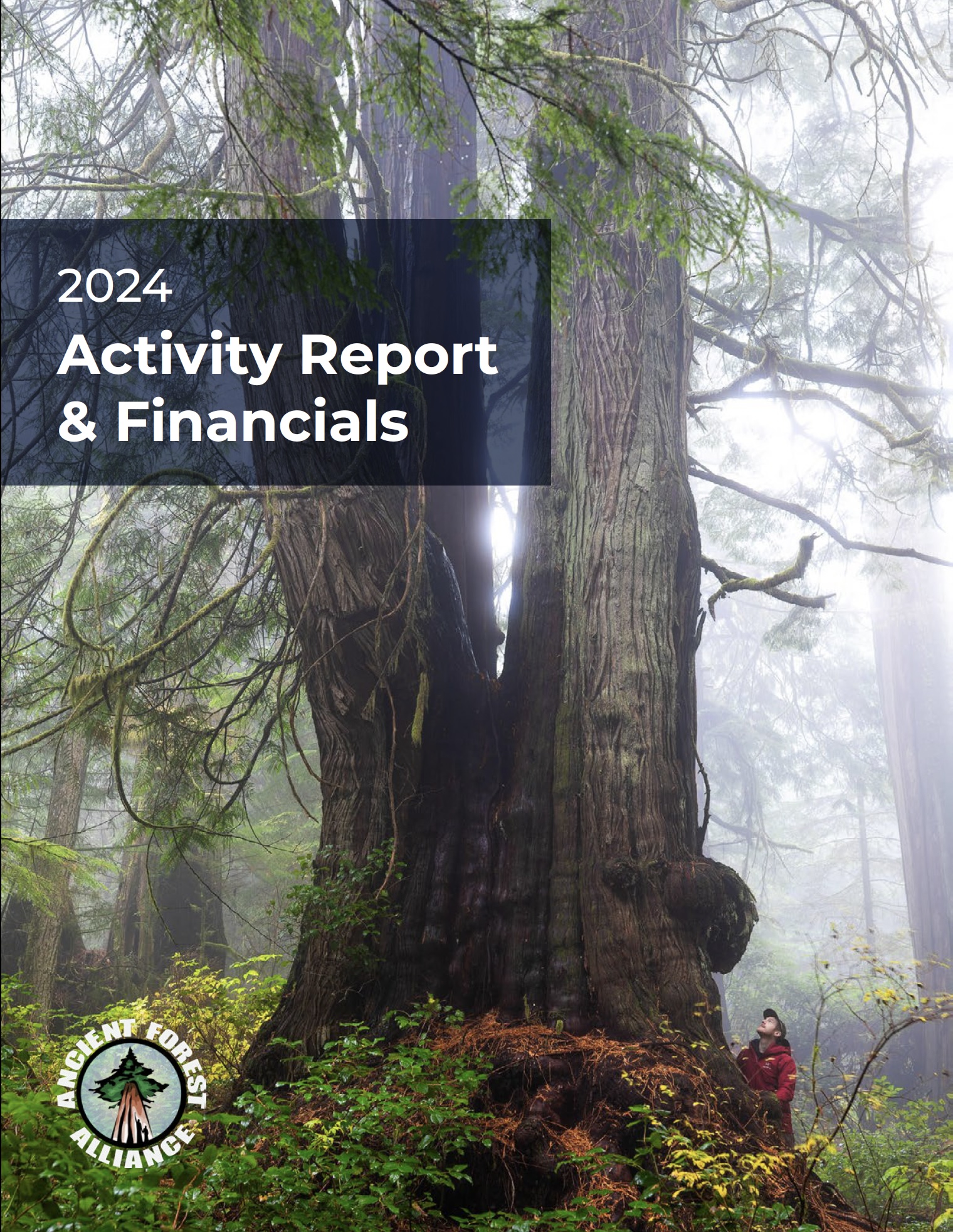 2024 Activity Report & Financials - Ancient Forest Alliance