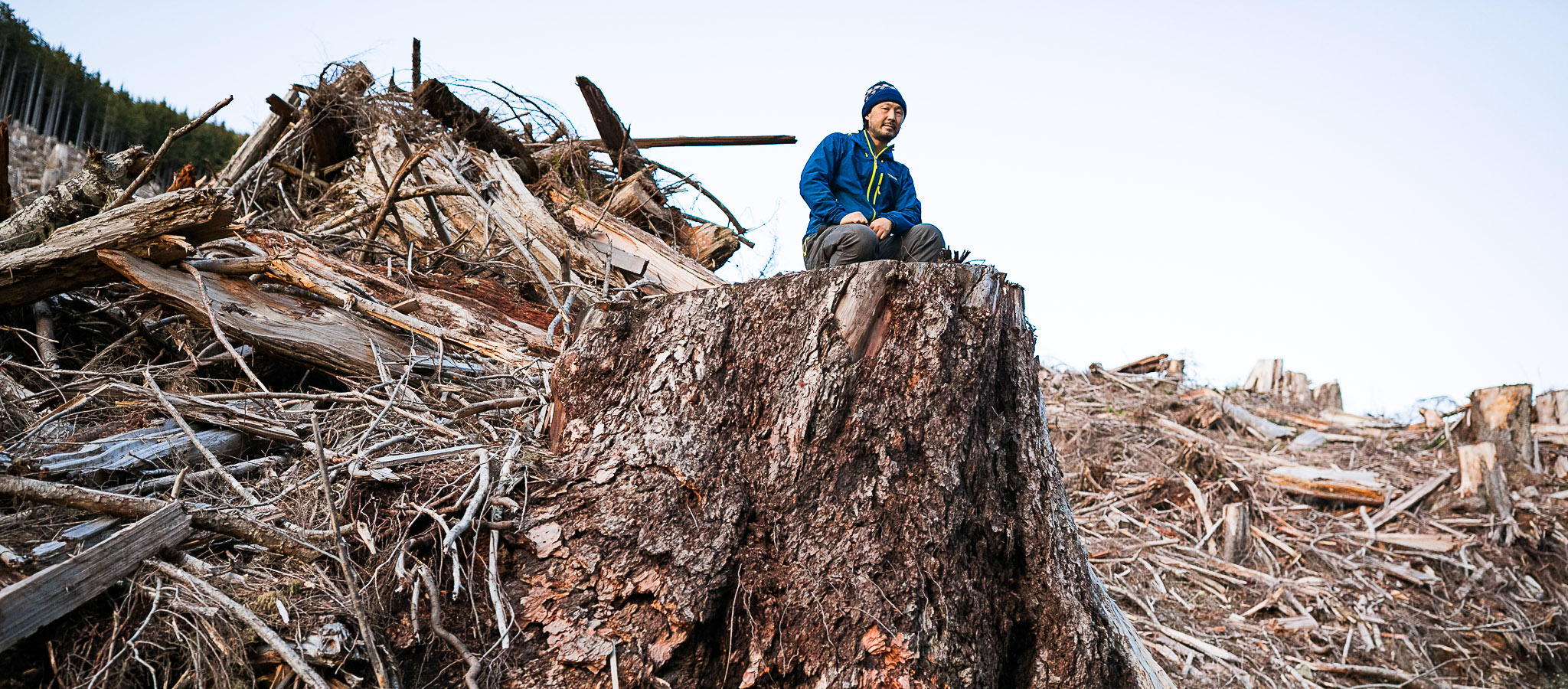 Provincial Forest Advisory Council Misses the Mark on the Problems and ...