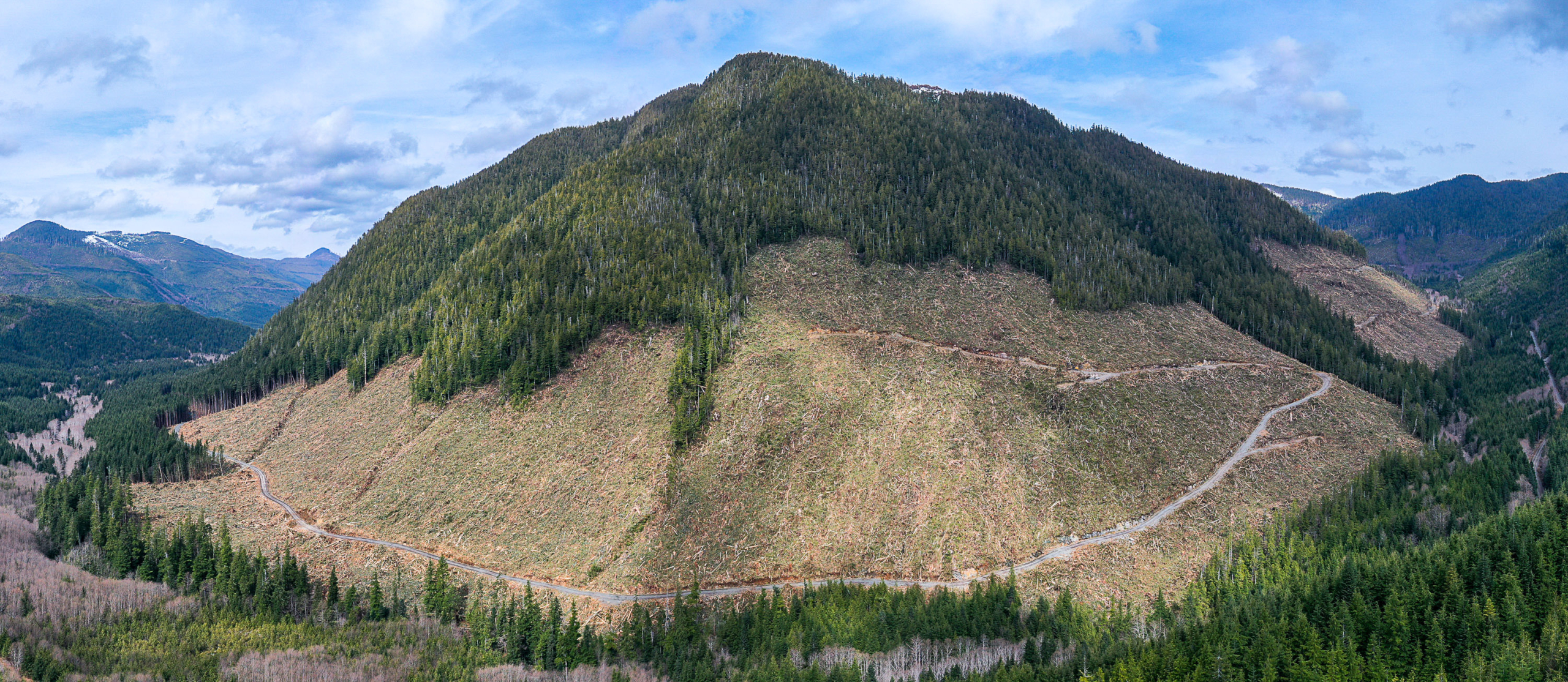 Province Expands BC Timber Sales Logging Powers Without Addressing Old ...